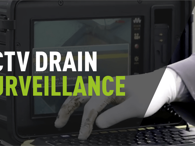 Professional Pest Control Services | Experts UK Wide | Contego Response