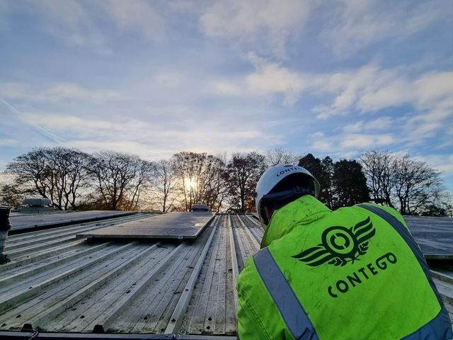 Our History - Dedicated to Pest Control Since 2004 | Contego Response