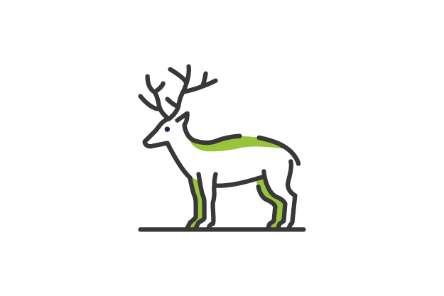 All About Foxes in the UK | Fox Pest Guide | Contego | Contego Response