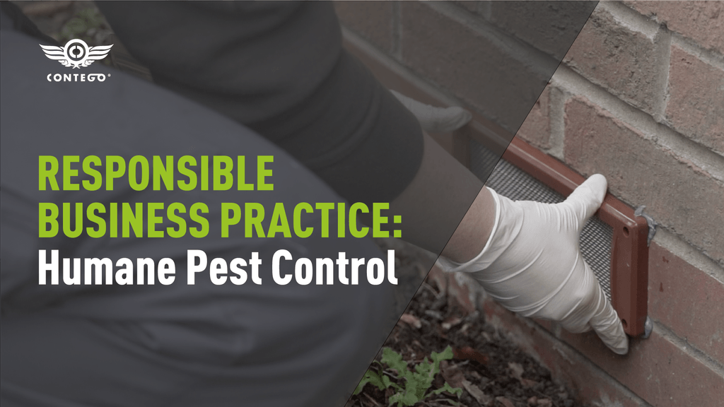 National Experts in Pest Control & Risk Management | Contego Response