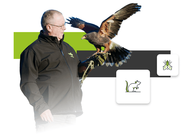 Professional Bird Control Solutions | Contego Response
