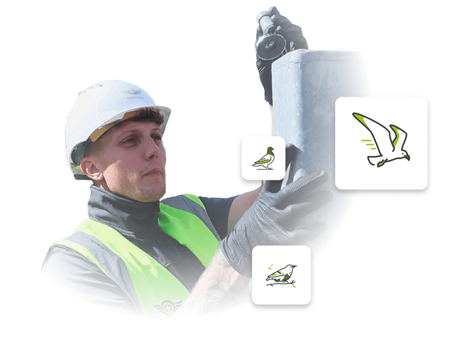 National Experts in Pest Control & Risk Management | Contego | Contego ...