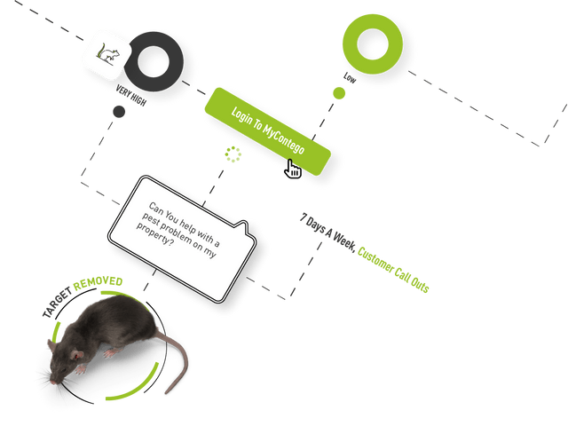 Professional Pest Control Services | Experts UK Wide | Contego Response