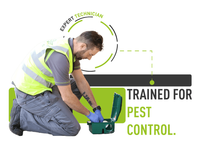 Professional Pest Control Services | Experts UK Wide | Contego Response