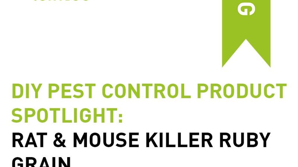 DIY Pest Control Product Spotlight: Rat & Mouse Killer Ruby Grain ...